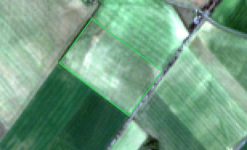 Méthode d'échantillonnage de mesures dans une parcelle - SatFarming